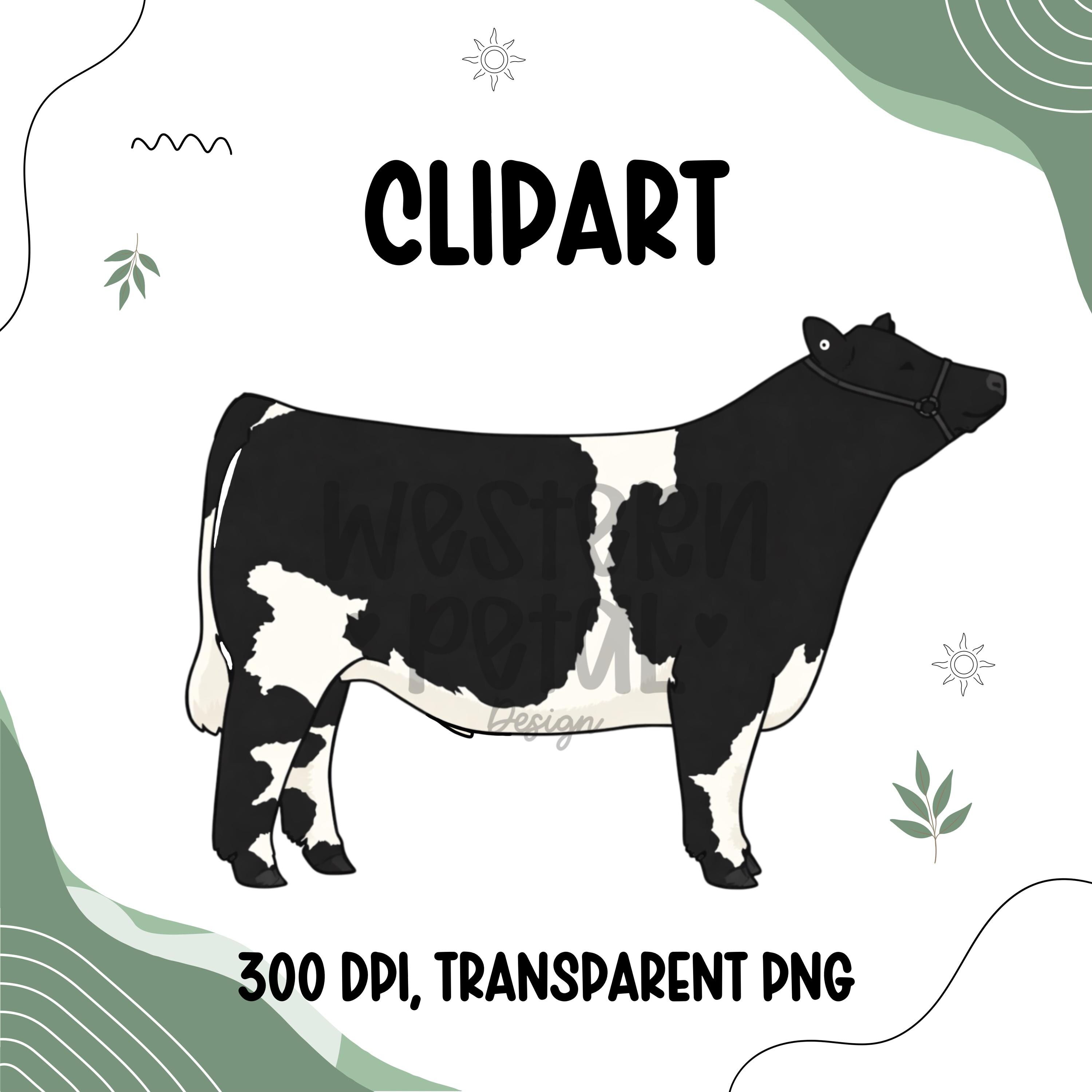 Show Steer Clipart Bundle, Farm Animal PNG Graphics (300 DPI ...