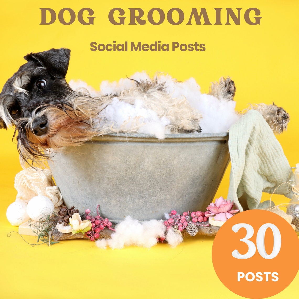 Dog Groomers Done for You Editable Canva Templates, Instagram Dog ...