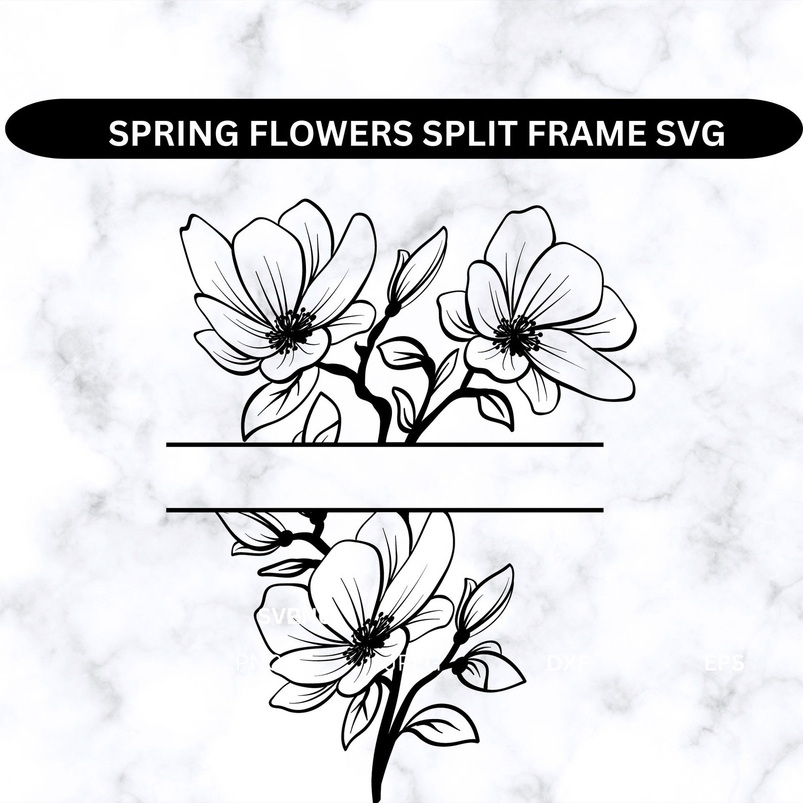 Floral Split Frame, Spring Flower Name Frame, Monogram PNG ...