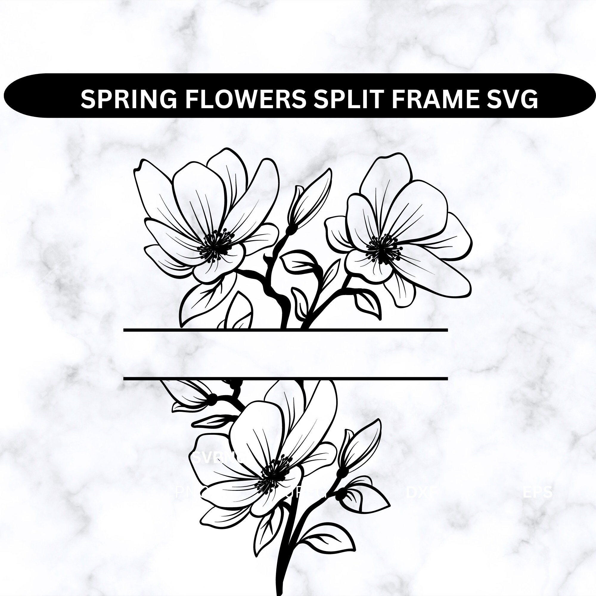 Floral Split Frame, Spring Flower Name Frame, Monogram PNG ...