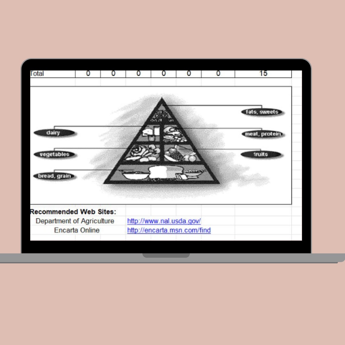 Nutrition Spreadsheet for Google Sheets, Food Group Diary Sheet, Excel ...