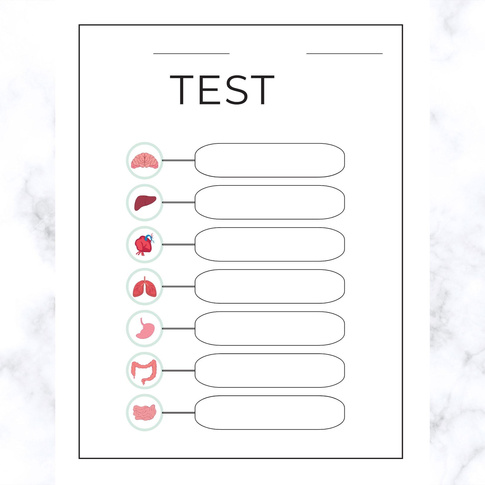 Printable Human Anatomy Coloring Workbook for Kids, Instant Digital ...