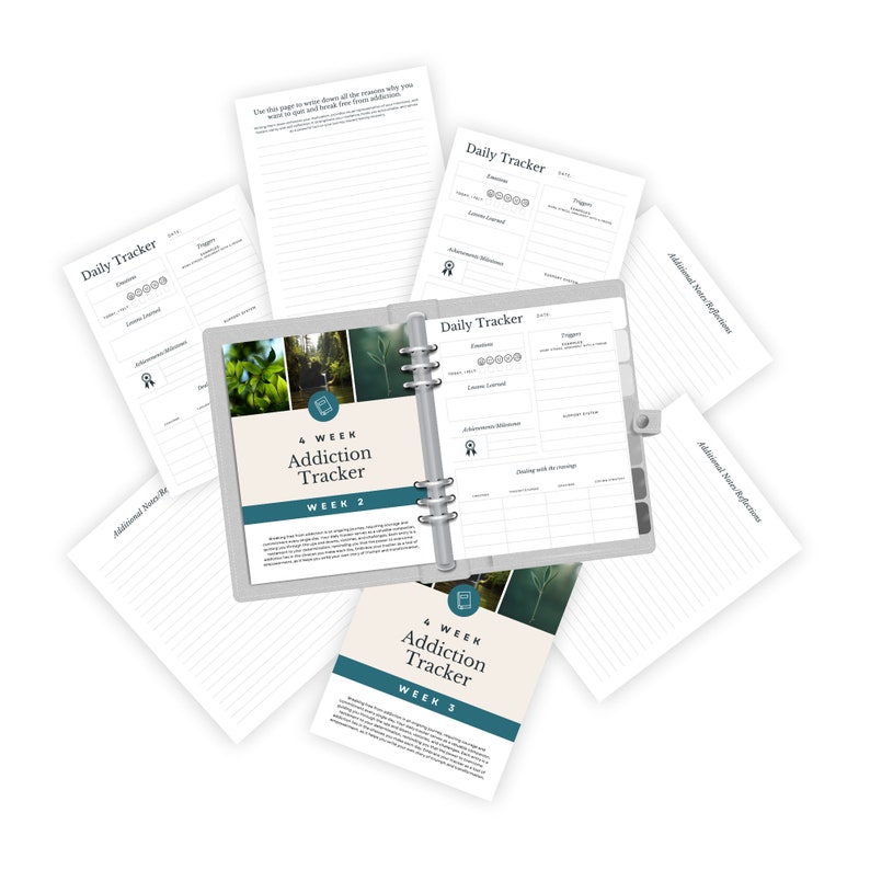 A Complete Addiction Recovery Journal, Edit in Canva, Lead Magnet for ...