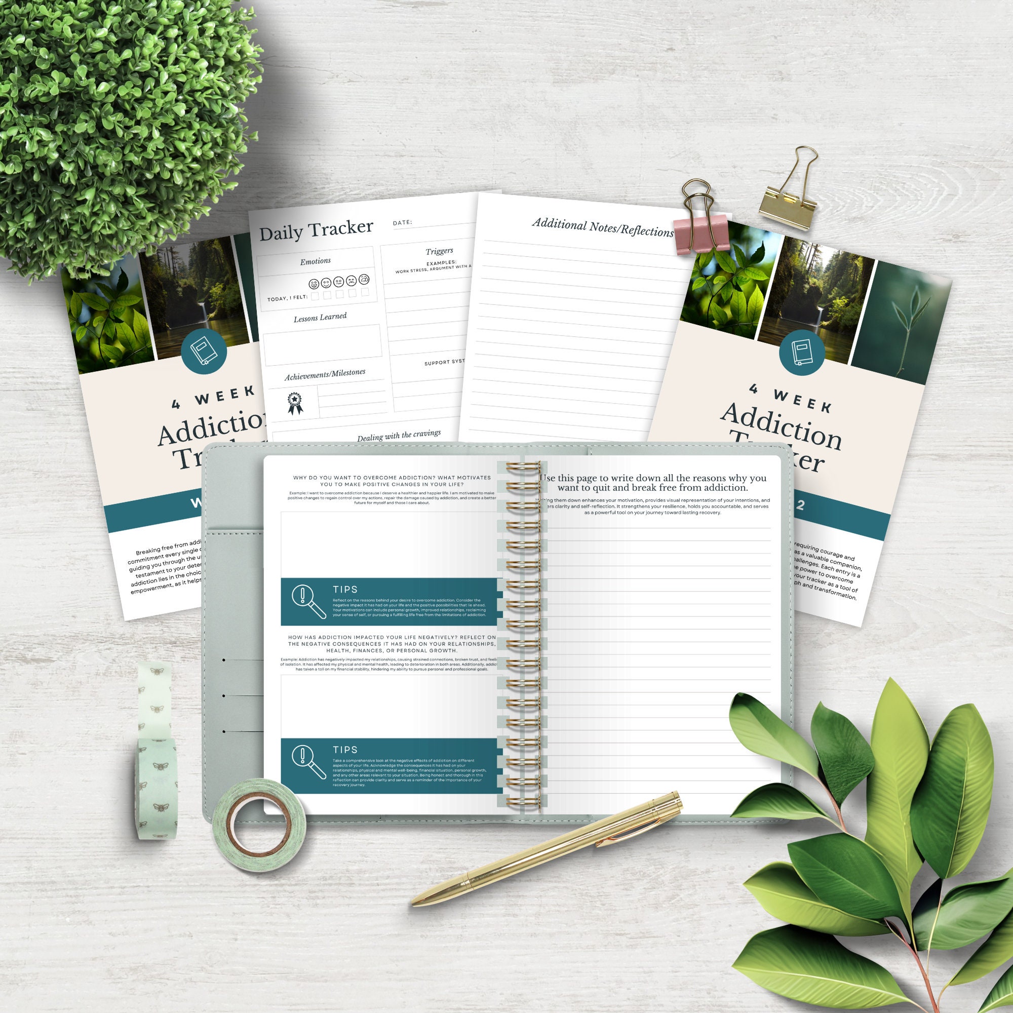 A Complete Addiction Recovery Journal, Edit in Canva, Lead Magnet for ...