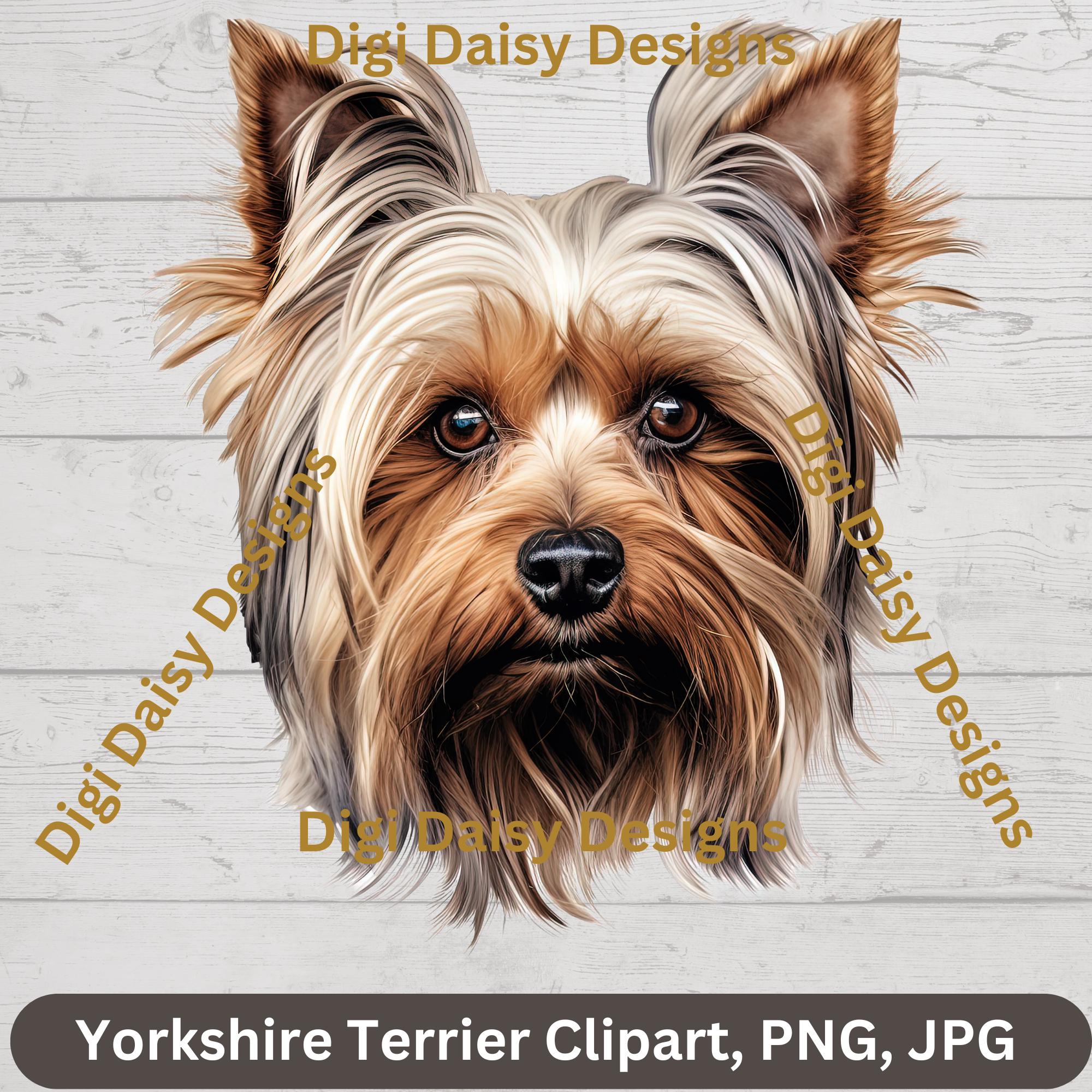 Yorkshire Terrier PNG Files Commercial Use Allowed Yorkie JPEG Files ...