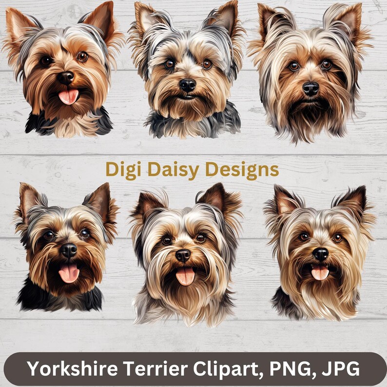 Yorkshire Terrier PNG Files Commercial Use Allowed Yorkie JPEG Files ...
