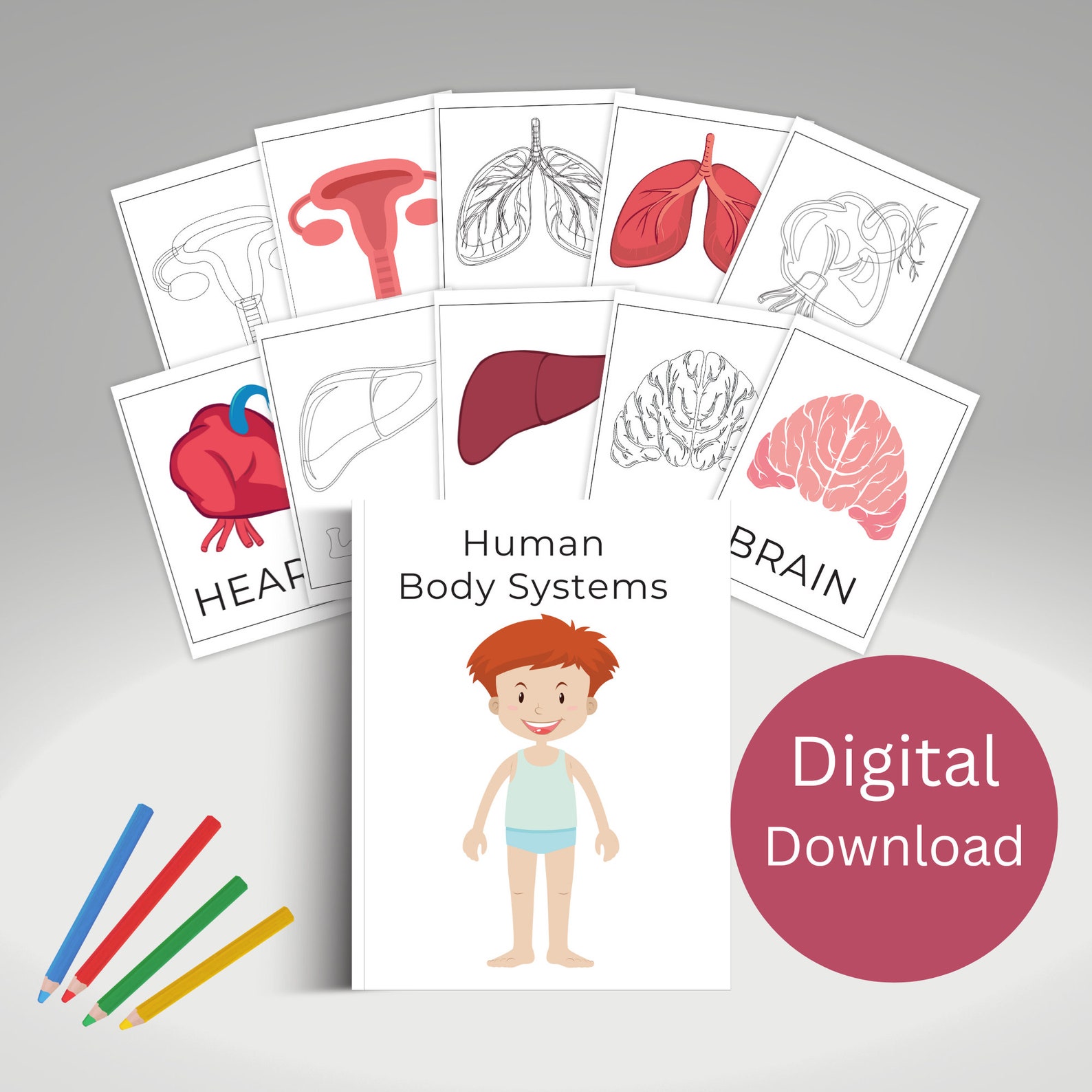 Printable Human Anatomy Coloring Workbook for Kids, Instant Digital ...