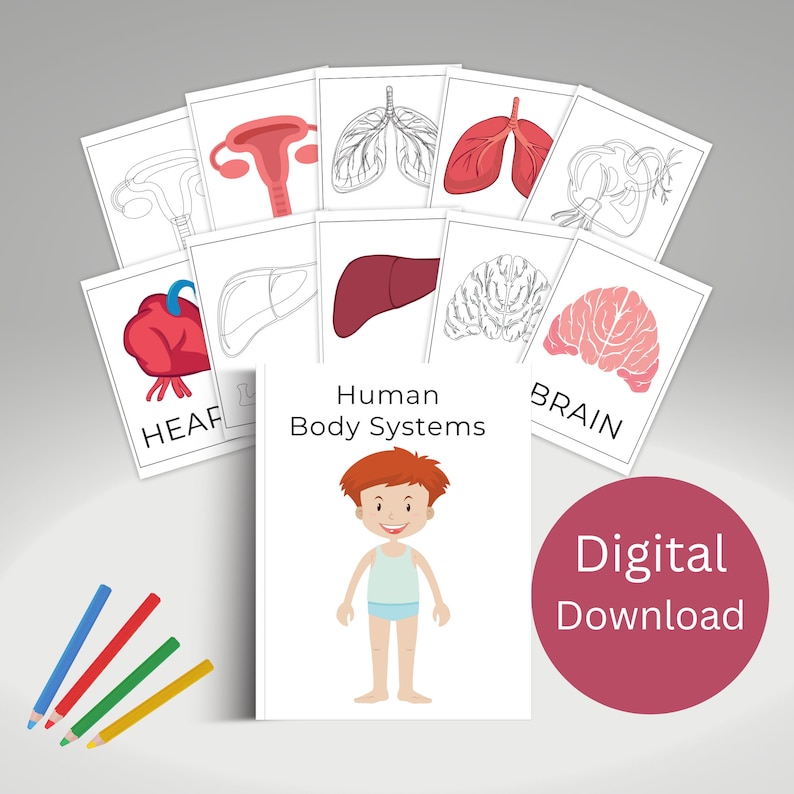 Printable Human Anatomy Coloring Workbook for Kids, Instant Digital ...