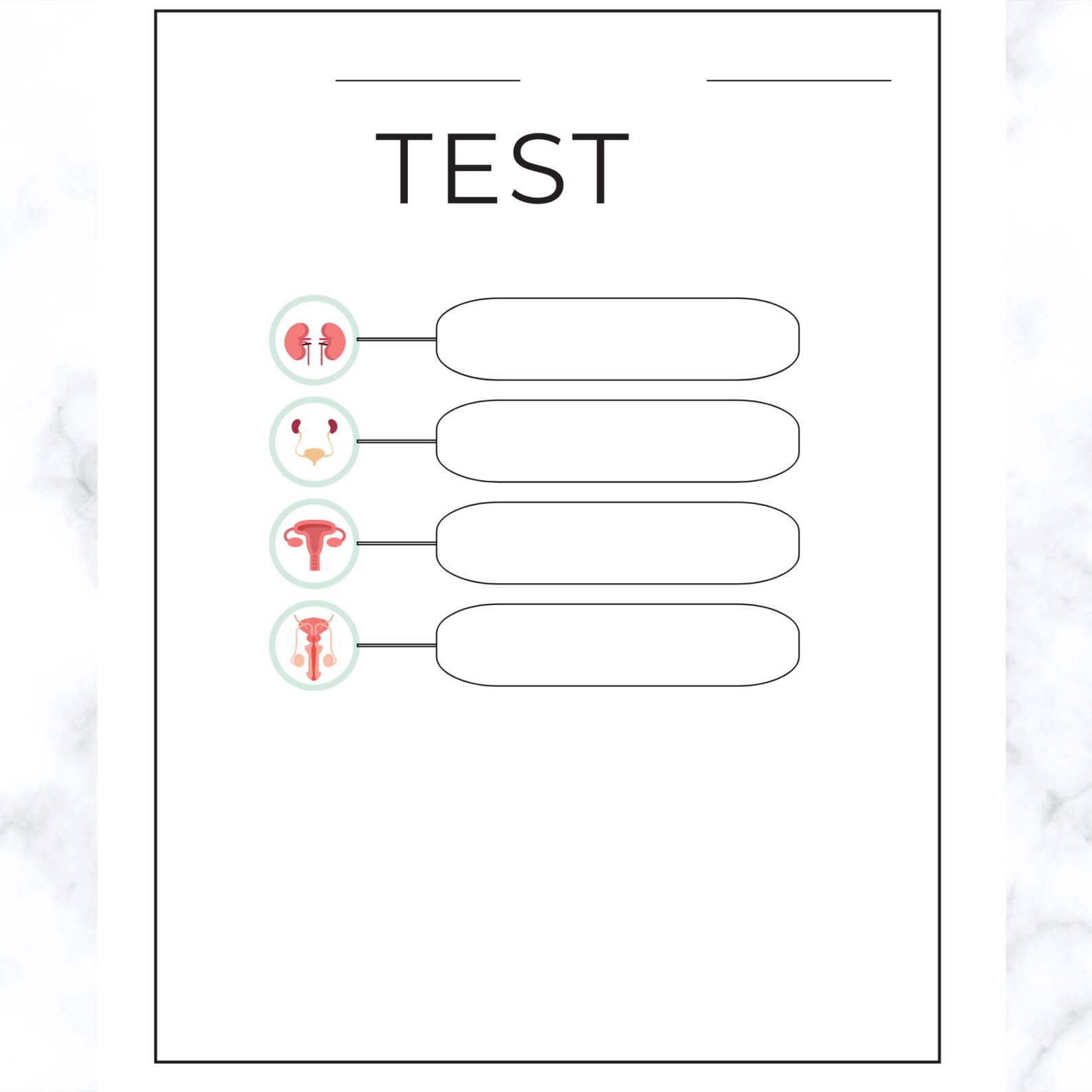 Printable Human Anatomy Coloring Workbook for Kids, Instant Digital ...