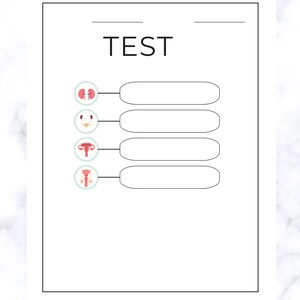 Printable Human Anatomy Coloring Workbook for Kids, Instant Digital ...