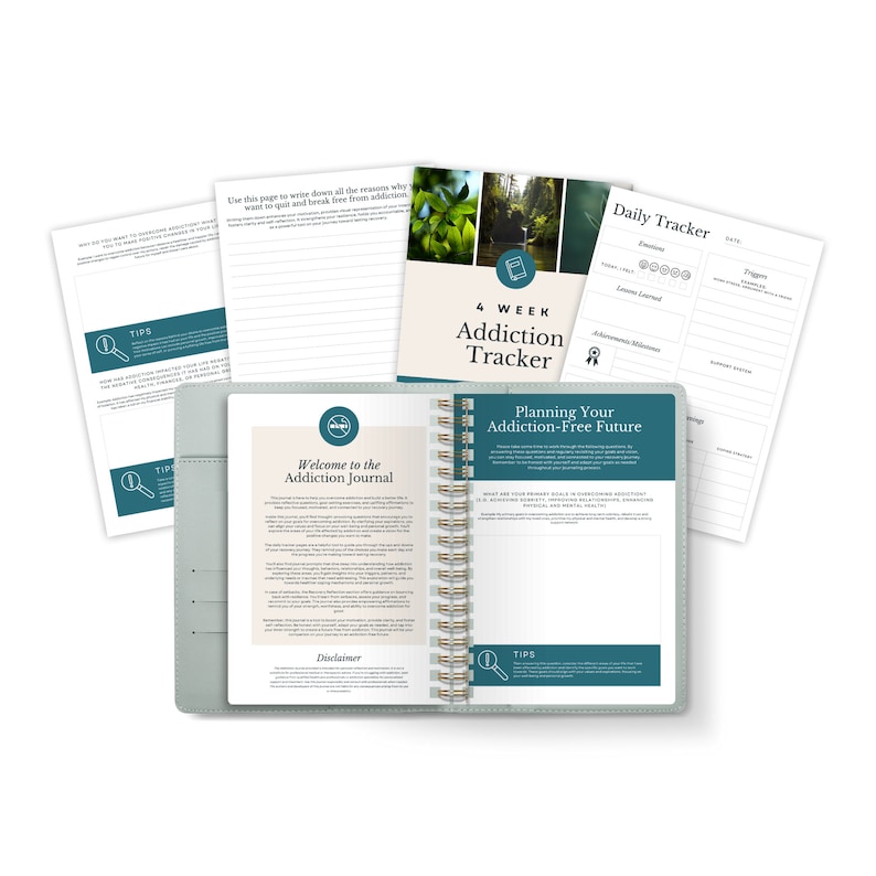 A Complete Addiction Recovery Journal, Edit in Canva, Lead Magnet for ...