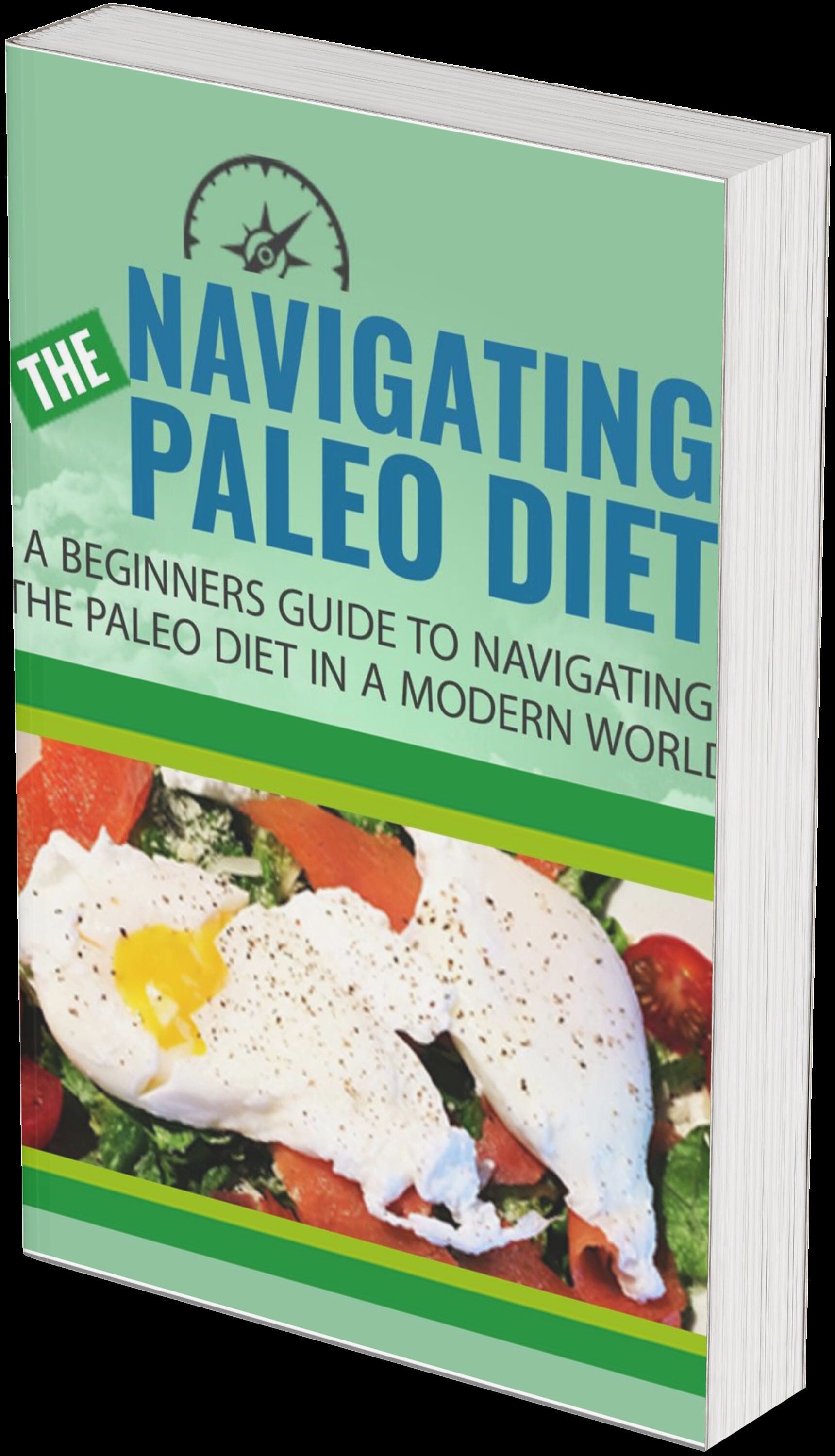 Paleo Diet Book, Navigating the Paleo Diet, Weight Loss, Diet Plan, Low ...