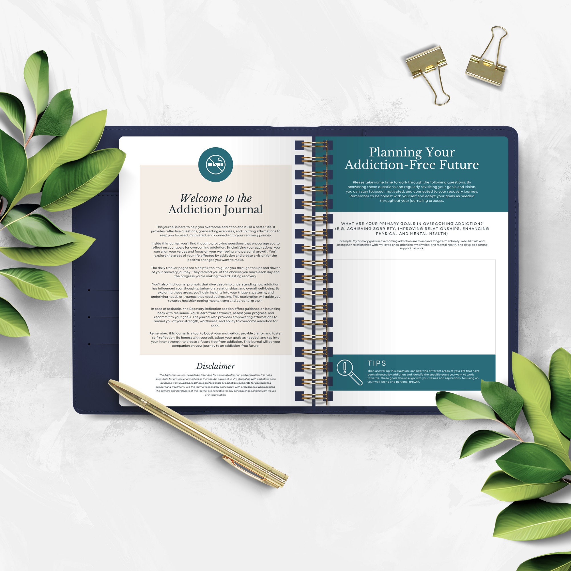 A Complete Addiction Recovery Journal, Edit in Canva, Lead Magnet for ...