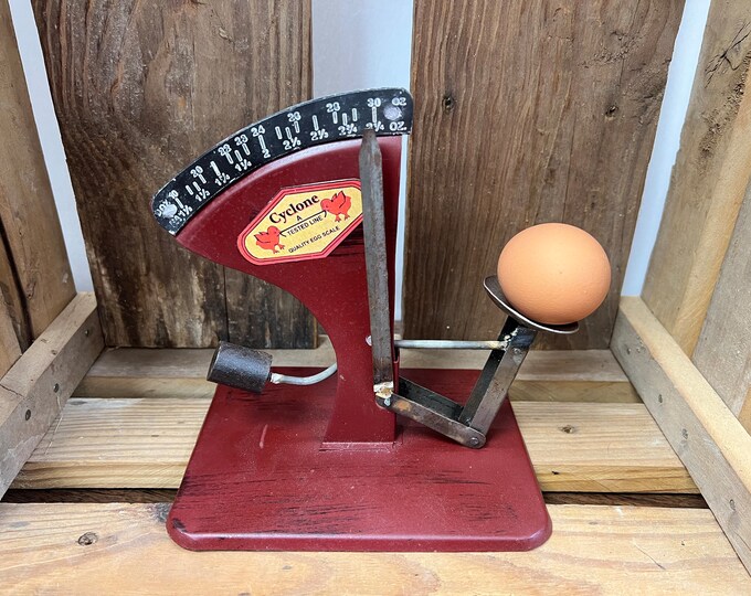 Cyclone A Egg Scale - Etsy