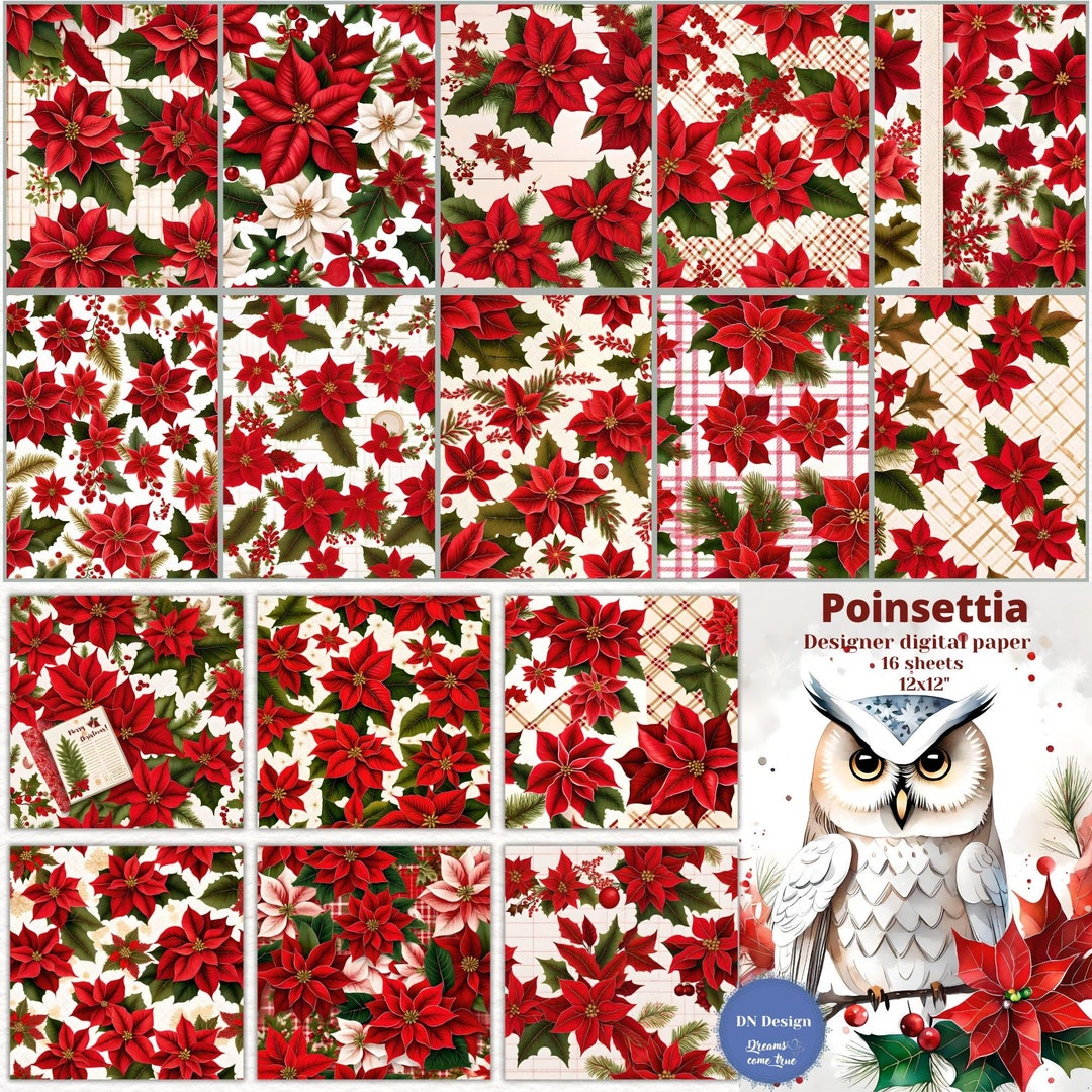 Poinsettia Digital Paper Packchristmas Flowers Poinsettia - Etsy