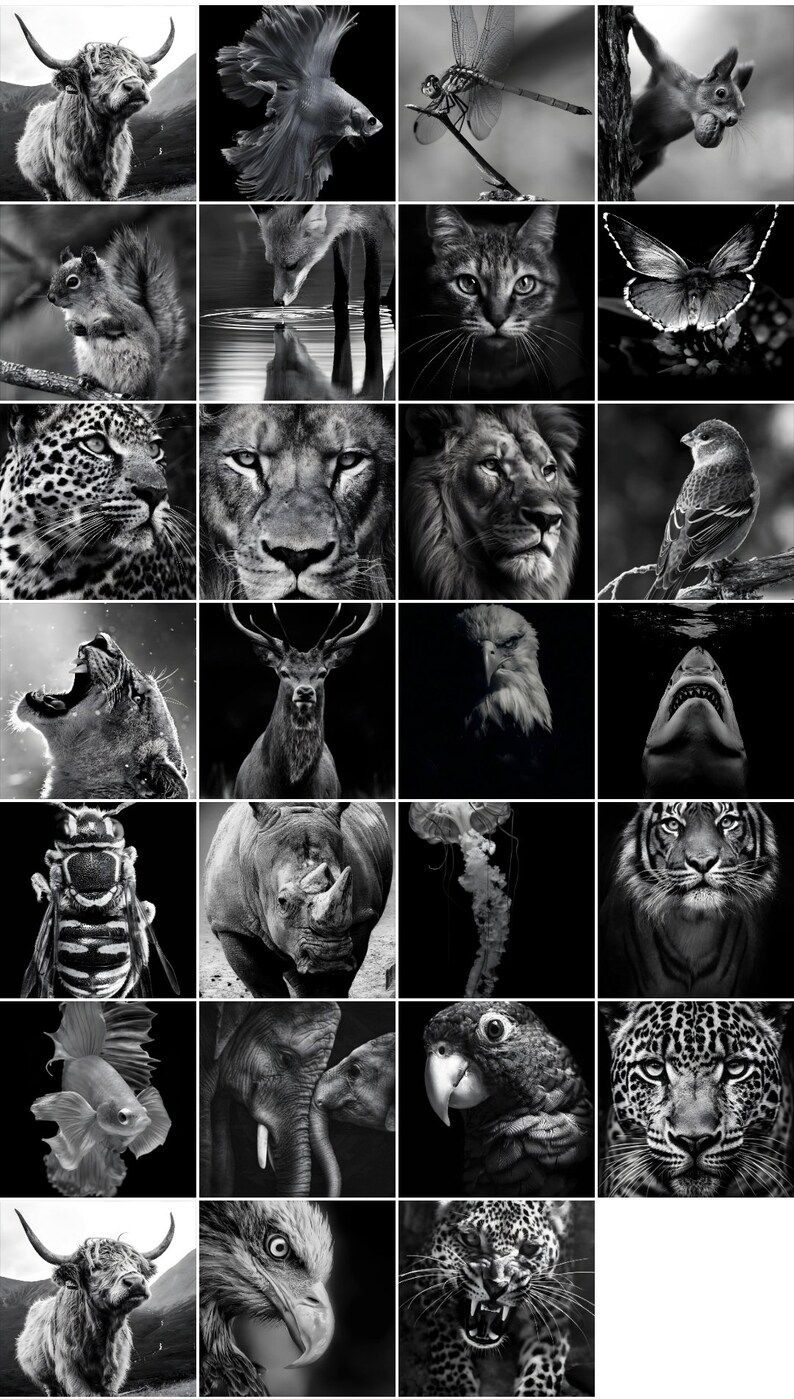 Laser Cut File Grayscale ANIMALS for Black Slate Slate Aluminum Png - Etsy