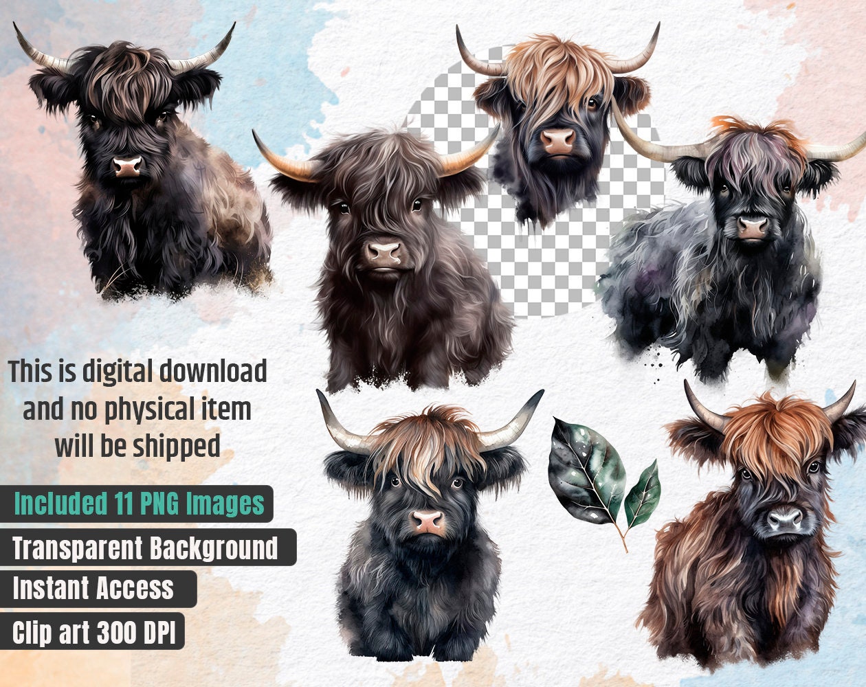 Highland Cow Watercolor Clipart, Digital Art, Watercolor Art, Digital ...