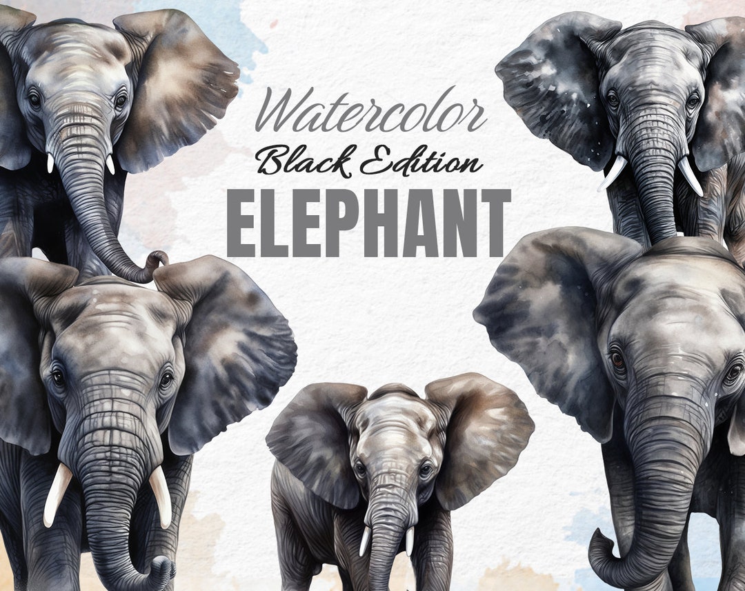 Elephant Clipart, Watercolor Digital Art, Watercolor Art, Digital ...