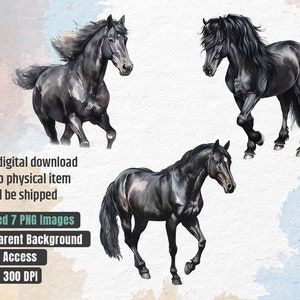 Black Horse Watercolor Clipart, Digital Art, Watercolor Art, Digital ...