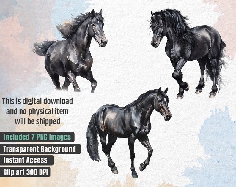 Black Horse Watercolor Clipart, Digital Art, Watercolor Art, Digital ...