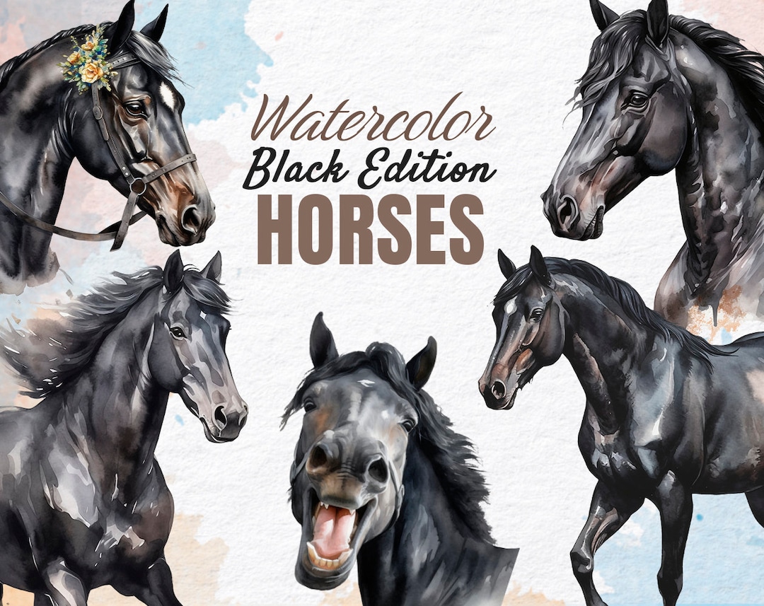 Black Horse Watercolor Clipart, Digital Art, Watercolor Art, Digital ...