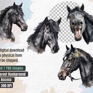 Black Horse Watercolor Clipart, Digital Art, Watercolor Art, Digital ...