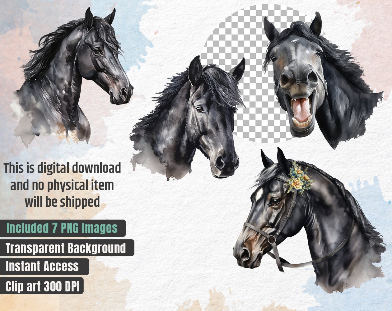 Black Horse Watercolor Clipart, Digital Art, Watercolor Art, Digital ...