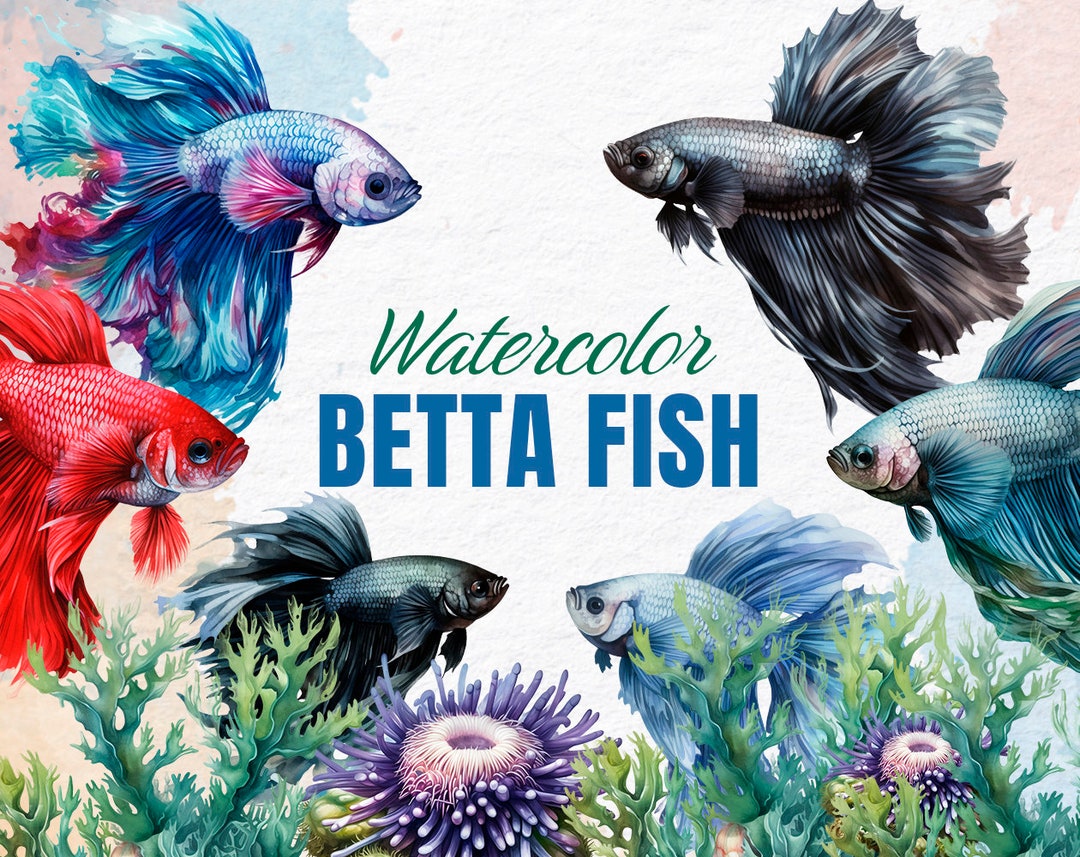 Betta Fish Sea Watercolor Clipart, Digital Art, Watercolor Art, Digital ...