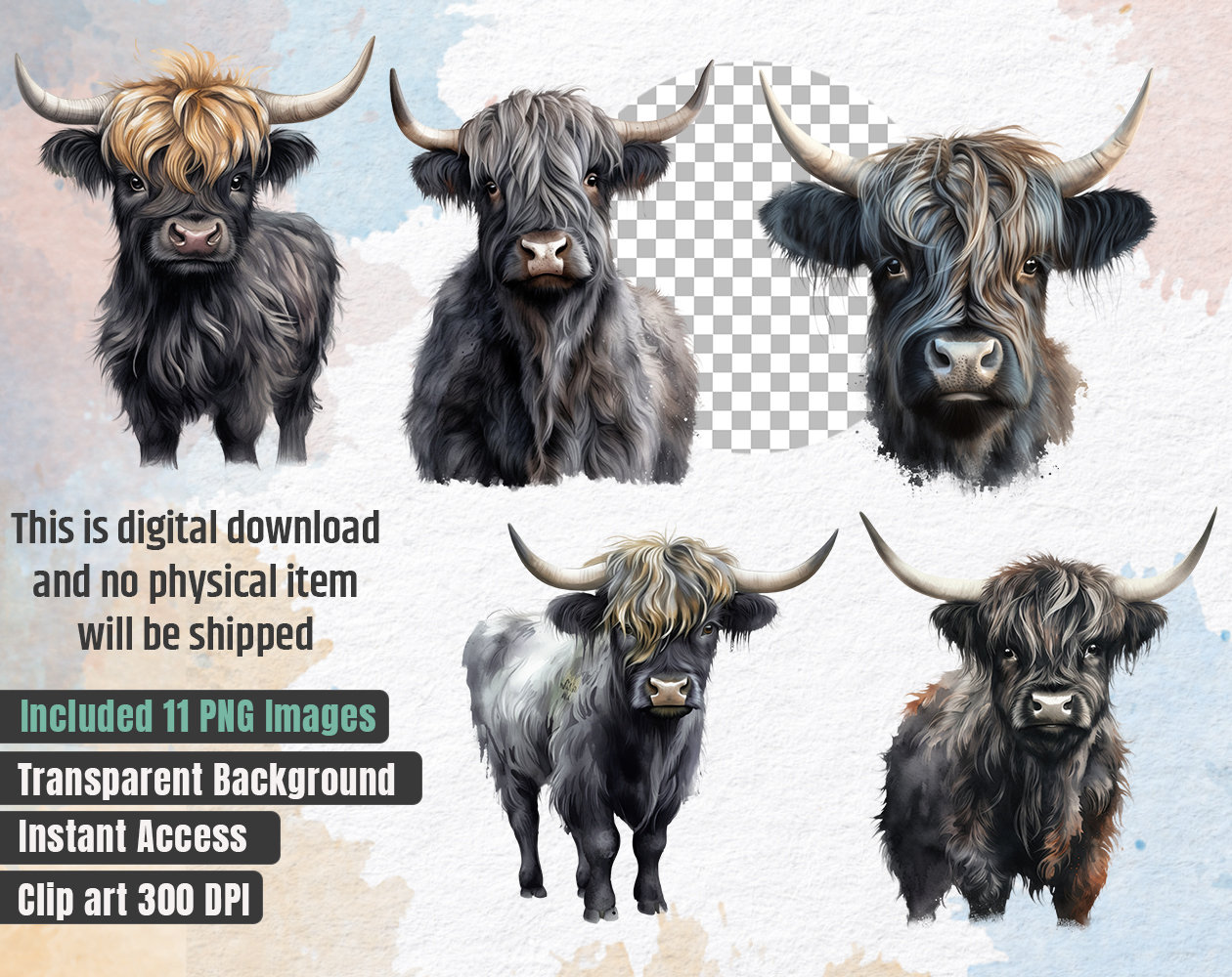 Highland Cow Watercolor Clipart, Digital Art, Watercolor Art, Digital ...