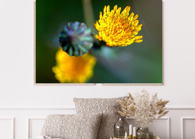 Printable Blooming Flower Wall Art Printable Wall Art Wall Art ...