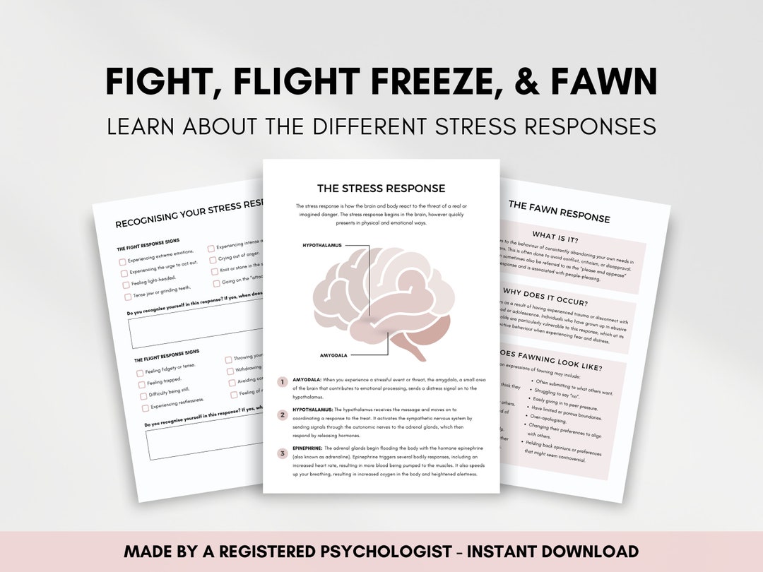Fight Flight Freeze Fawn Therapy Worksheet Bundle for Adults and Teens ...
