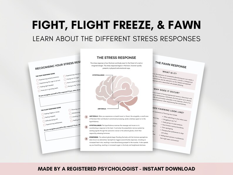 Fight Flight Freeze Fawn: Stress Response Worksheet Bundle (digital ...