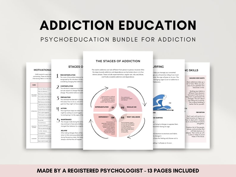 Addiction and the Brain, Addiction Recovery Education Bundle, Overcoming Addiction Therapist ...