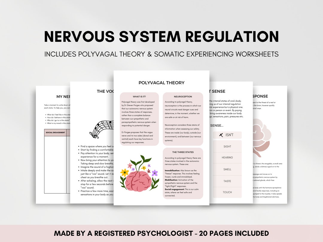 Nervous System Regulation and Polyvagal Theory Worksheets for Managing ...