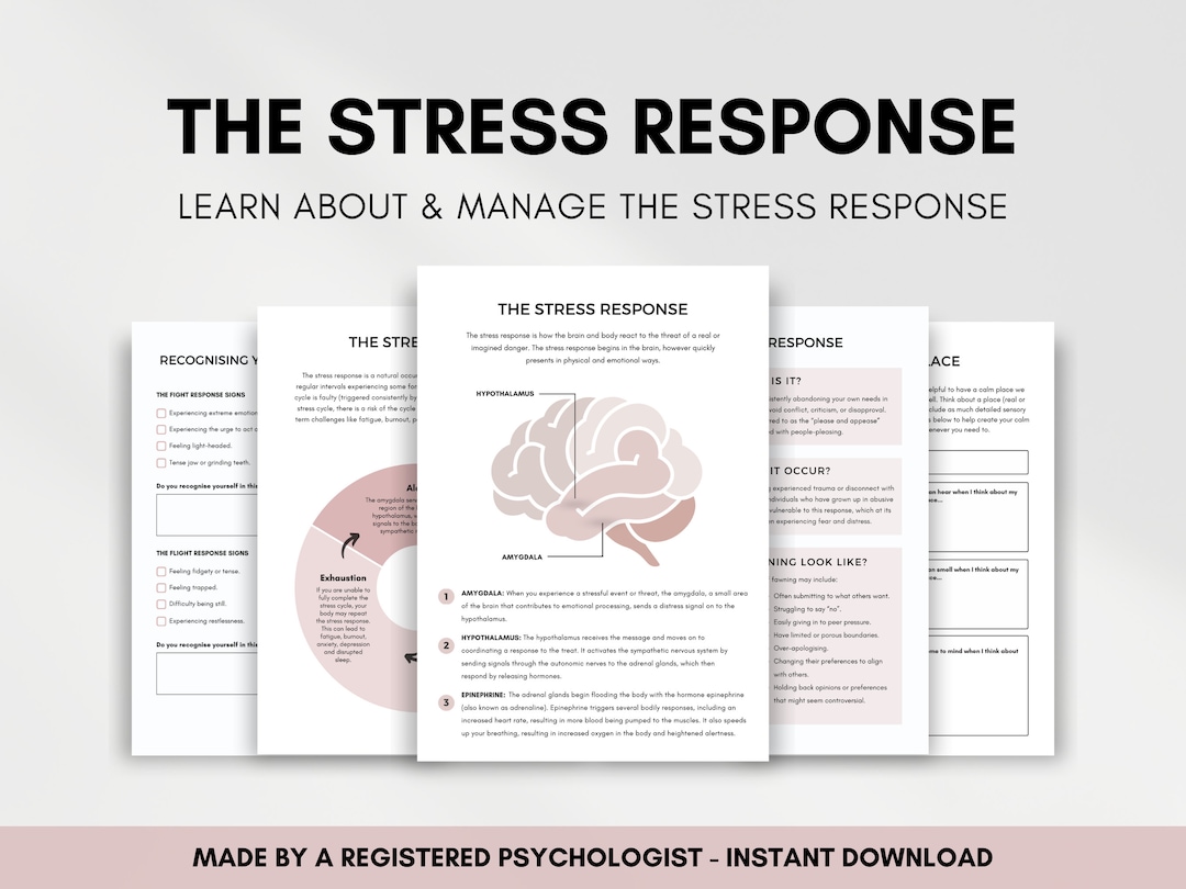 Stress Response Therapy Worksheets Bundle, Fight Flight Freeze Fawn ...
