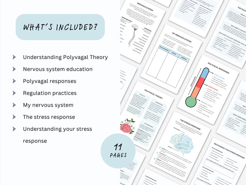 Polyvagal Theory Worksheets: Nervous System Regulation (digital ...