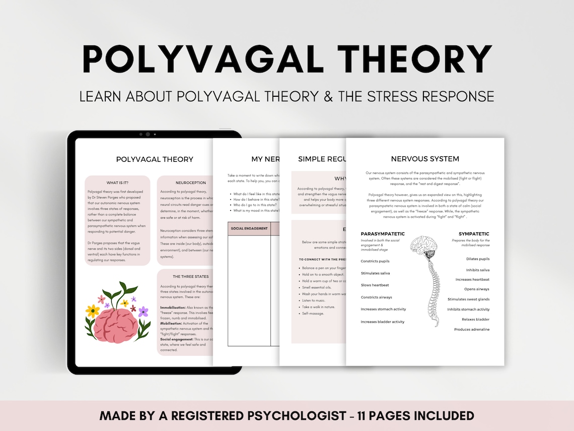 Polyvagal Theory Worksheets to Understand Stress Response and Nervous ...