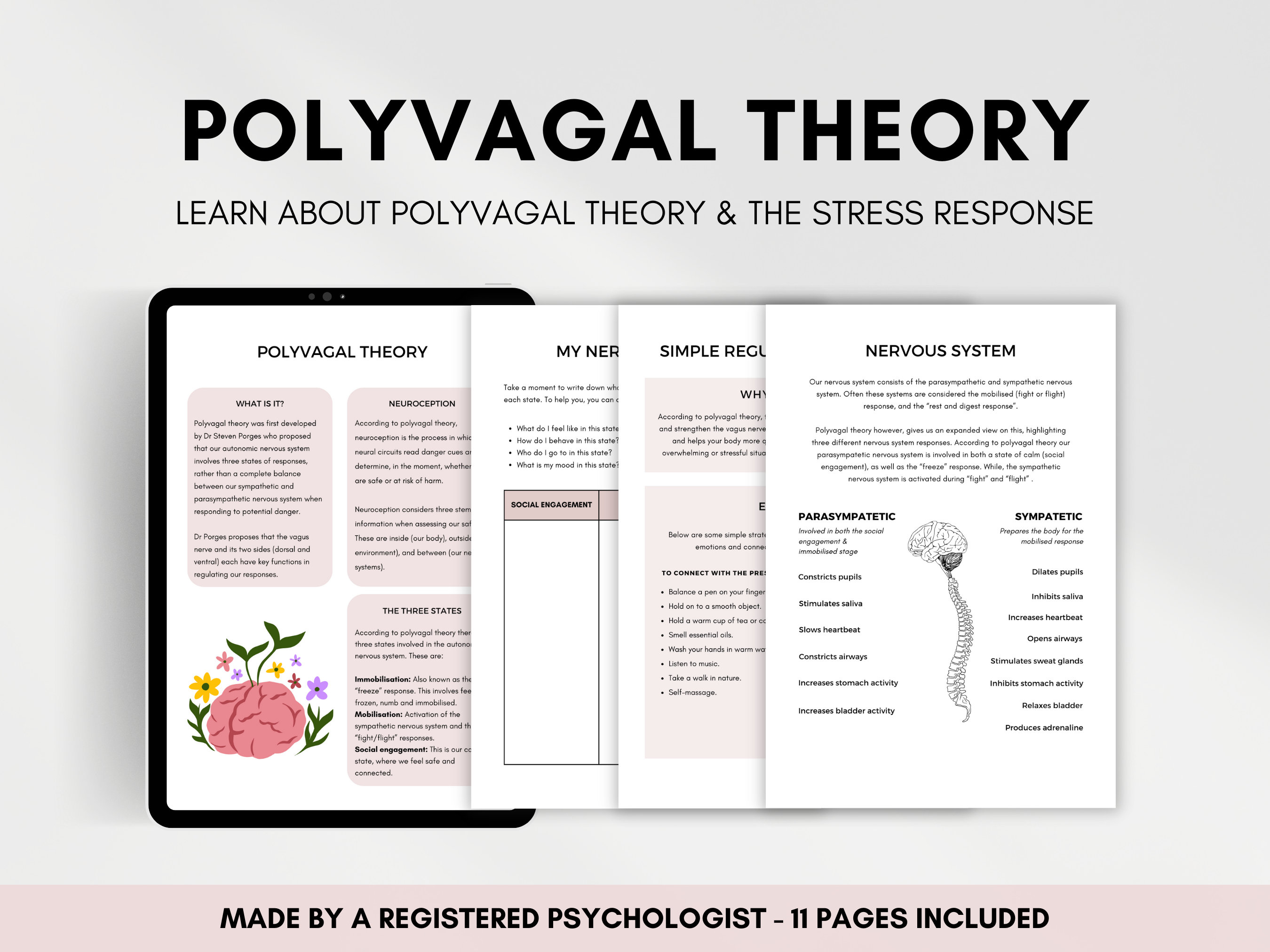 Polyvagal Theory Worksheets to Understand Stress Response and Nervous ...