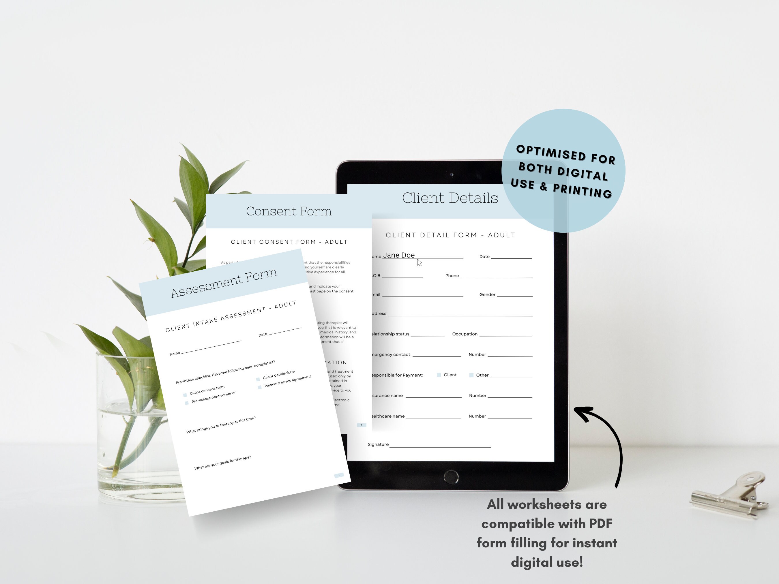 Therapist Client Intake Forms Bundle: Counselor & Psychologist ...