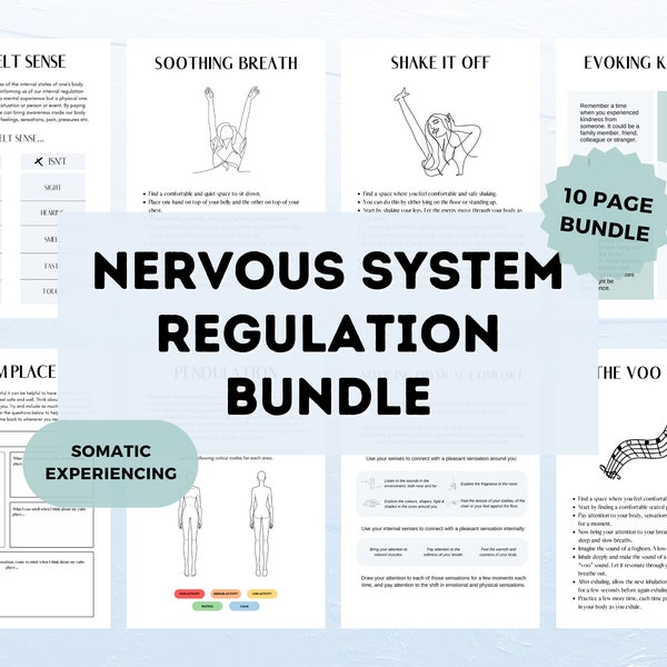 Nervous System Regulation Worksheet - Etsy