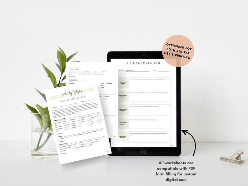 Therapist Intake Form Bundle: Mental Health Assessment, 5 P's Case ...