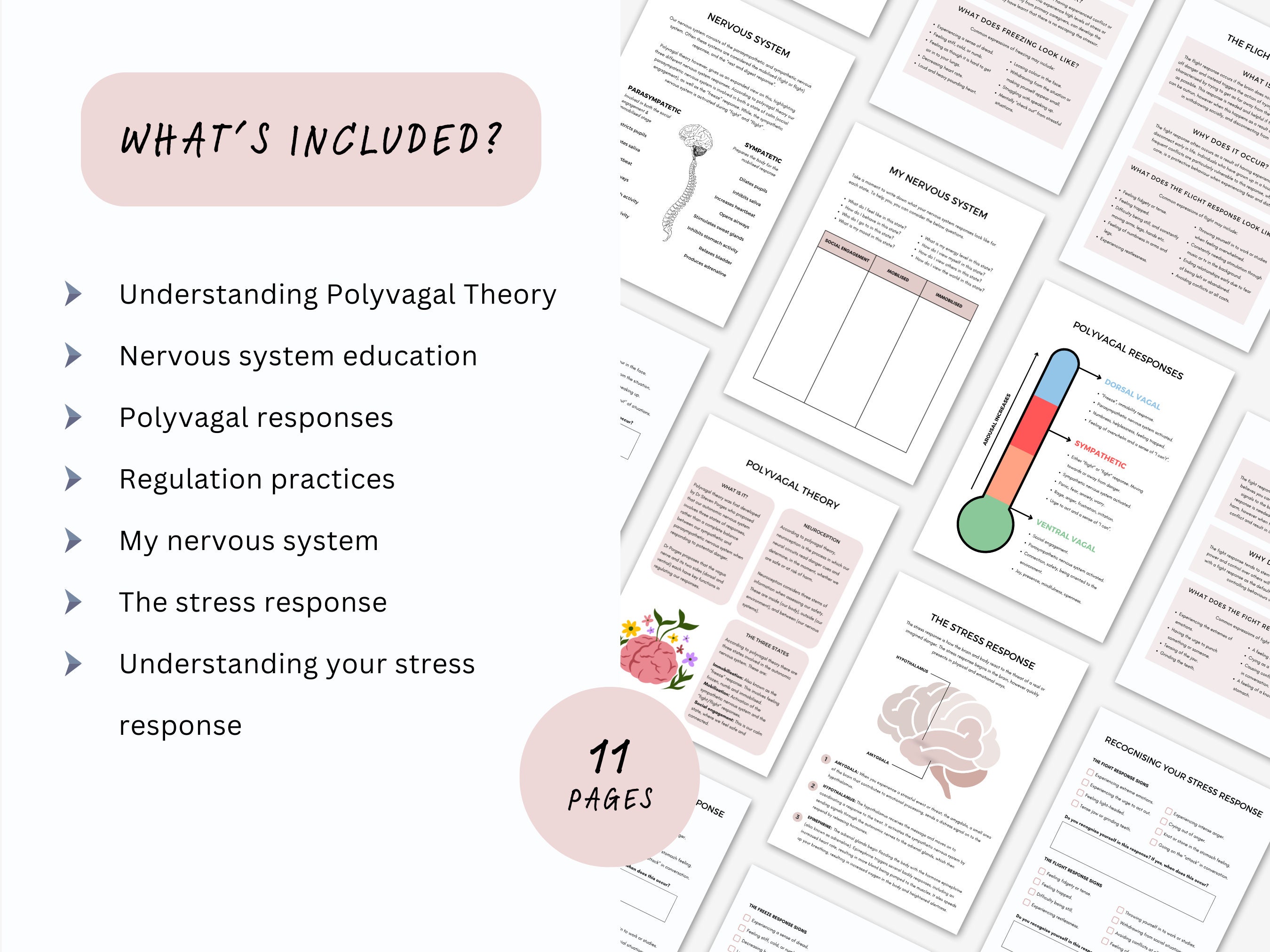 Polyvagal Theory Worksheets to Understand Stress Response and Nervous ...