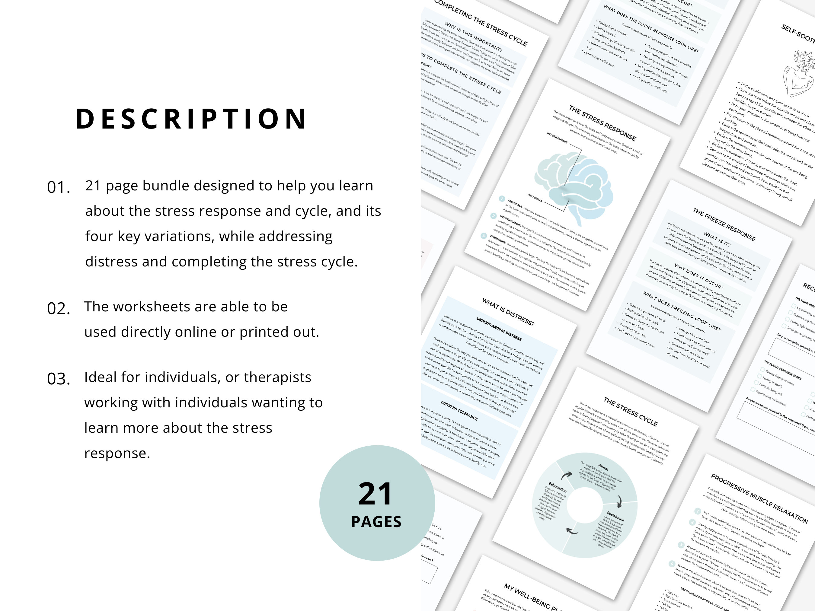 Stress Response Cycle Worksheets, Fight Flight Freeze Fawn Bundle for ...