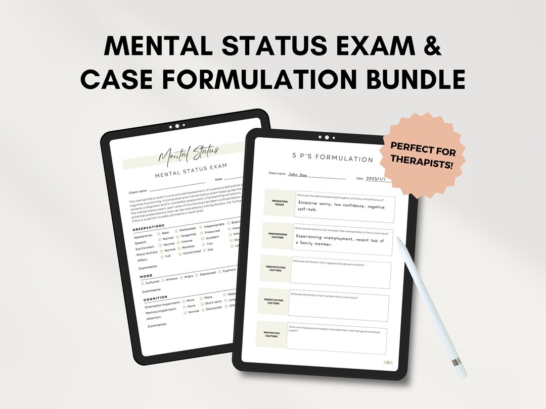 Therapist Intake Form Bundle: Mental Health Assessment, 5 P's Case ...
