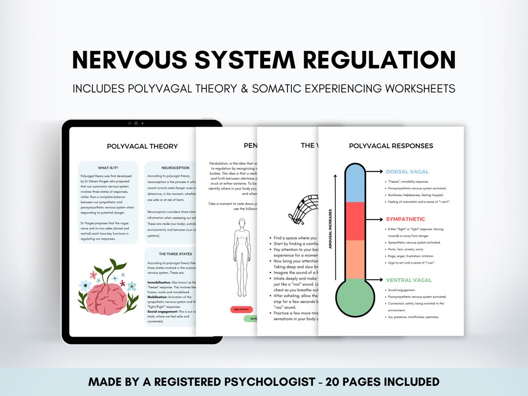 Nervous System Regulation Worksheets Bundle, for Understanding Polyvagal Theory and Stress ...
