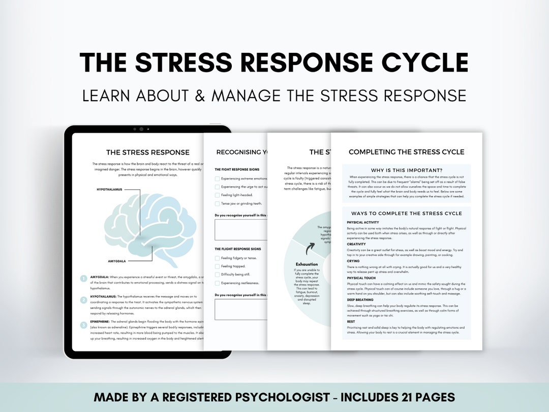 Stress Response Cycle Worksheets, Fight Flight Freeze Fawn Bundle for ...