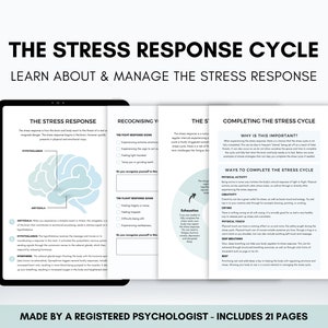 Stress Response Cycle Worksheets, Fight Flight Freeze Fawn Bundle for ...