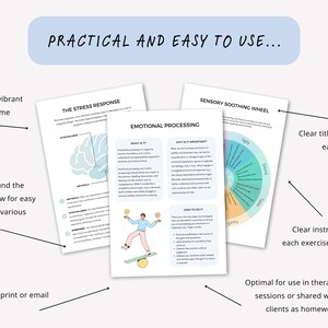 Managing Overwhelm Worksheets: Distress Tolerance & Emotional ...