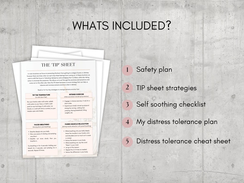 Safety Plan Worksheets Bundle for Therapist PDF Fillable - Etsy