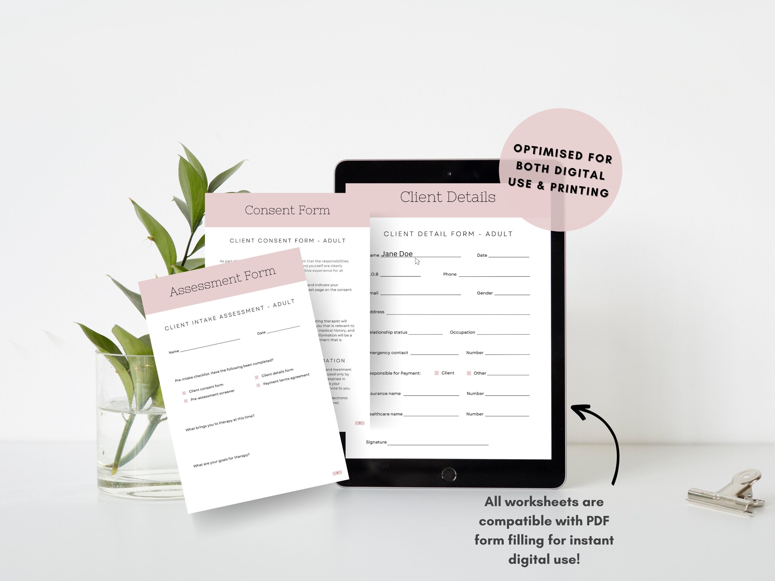 Therapy Intake Form Bundle, Canva Editable Therapist Resource ...